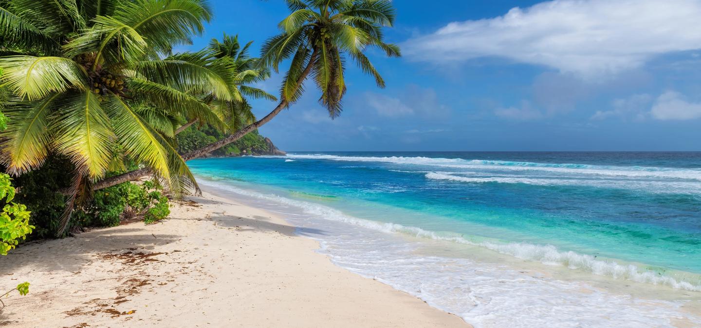 How to Move to Hawaii for Remote Work - MakeMyMove