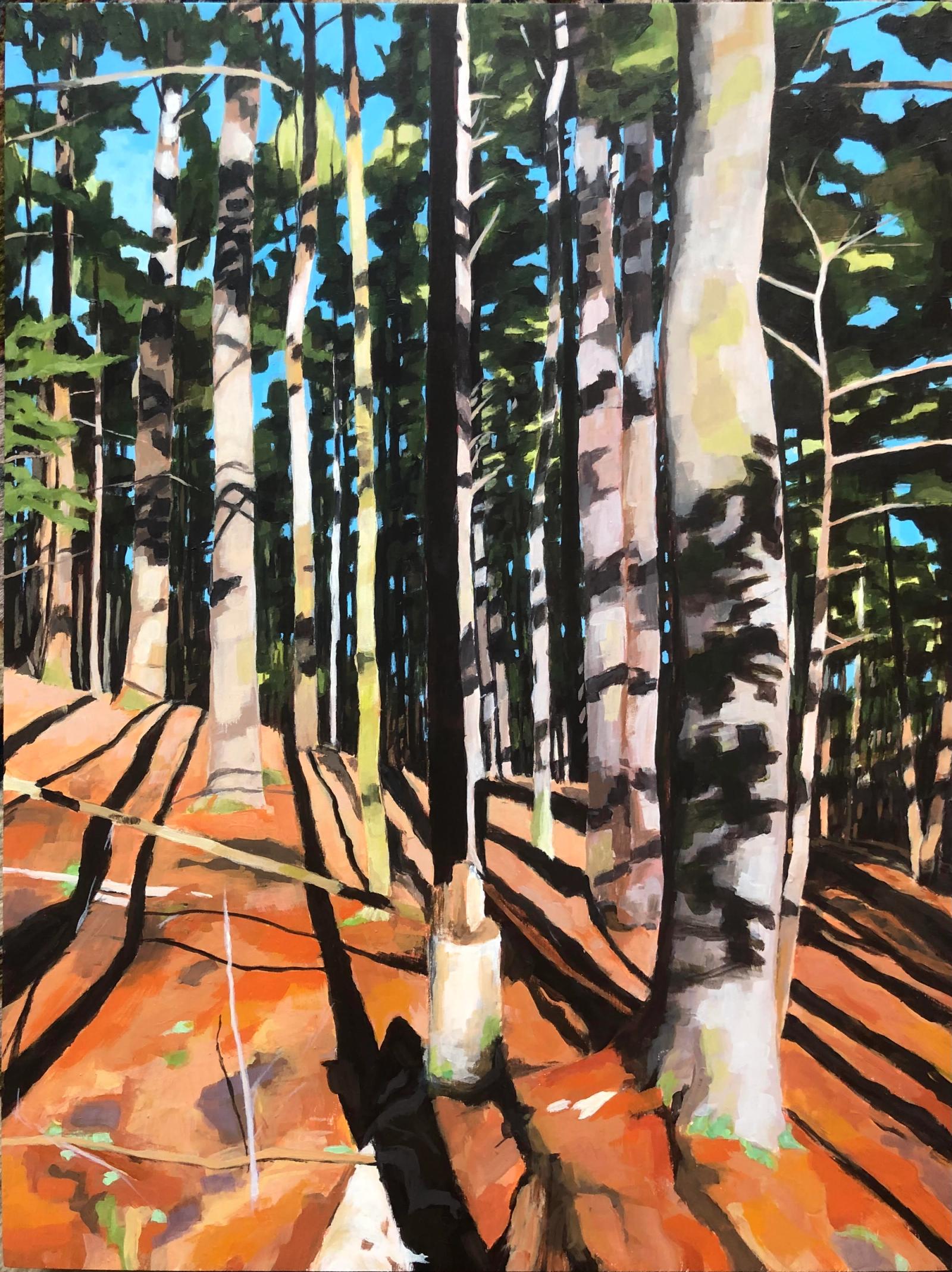 Kim Farr | Maine College of Art & Design