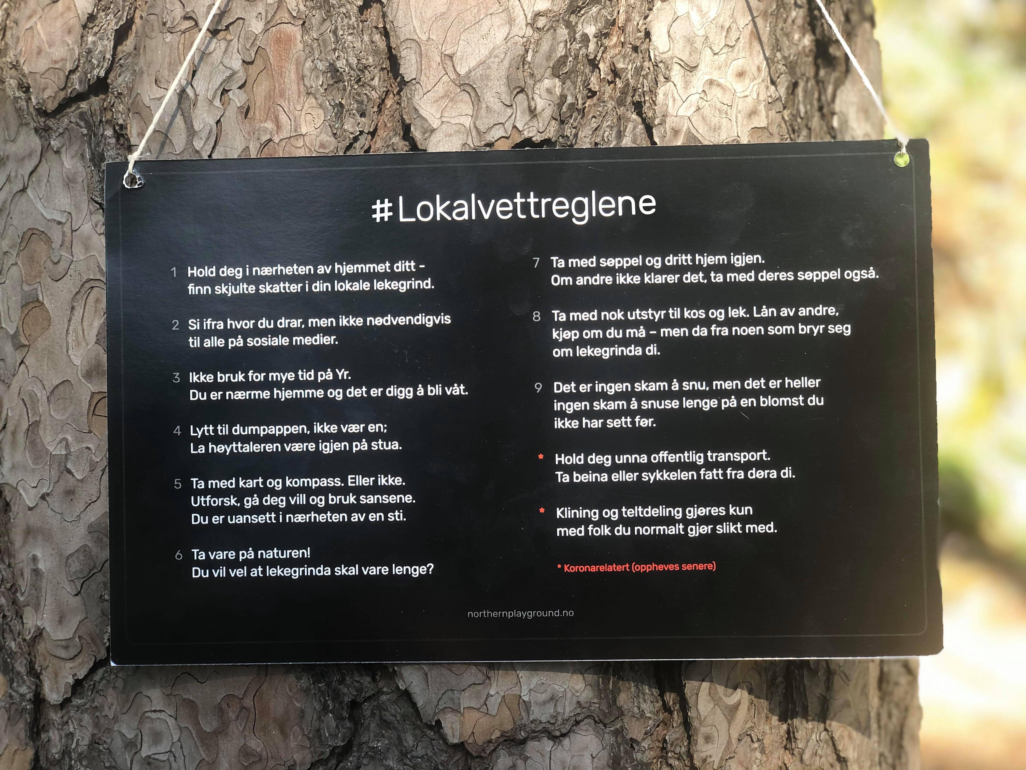 Northern Playground | Northern Playground