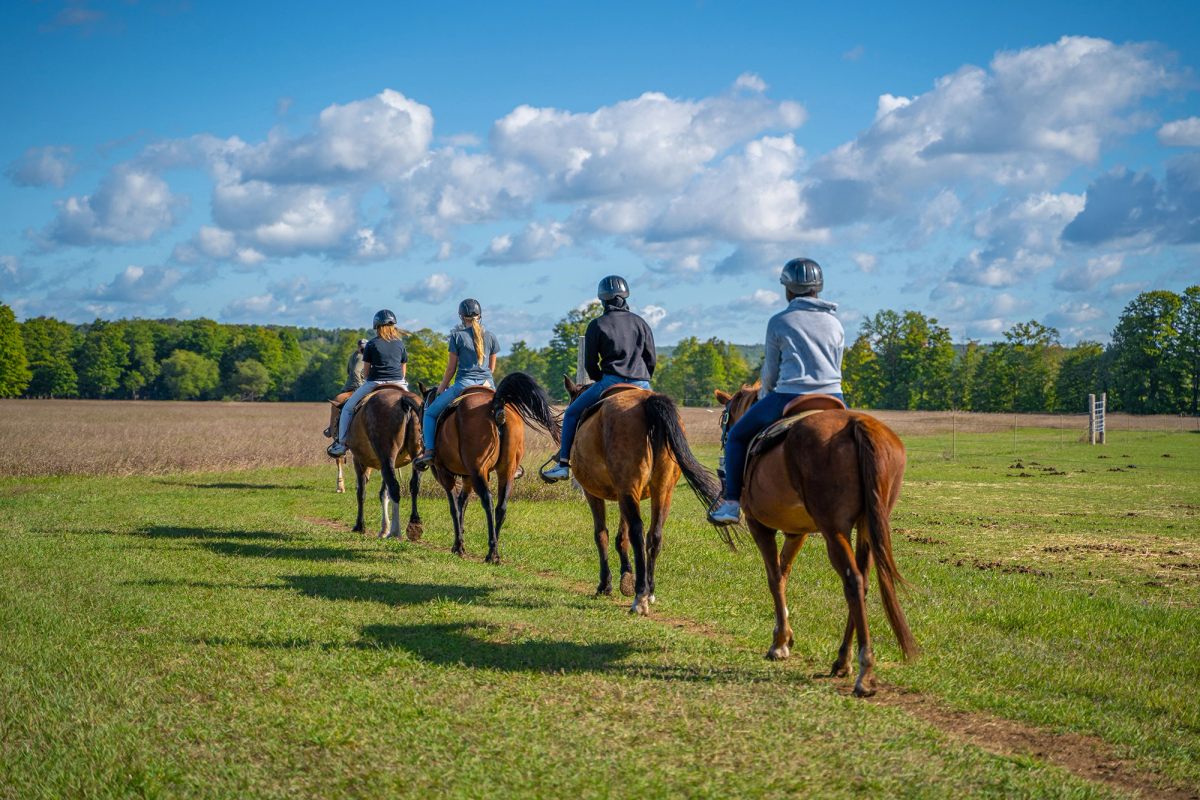 Summer Horseback Riding | Summer Activity | Boyne Mountain