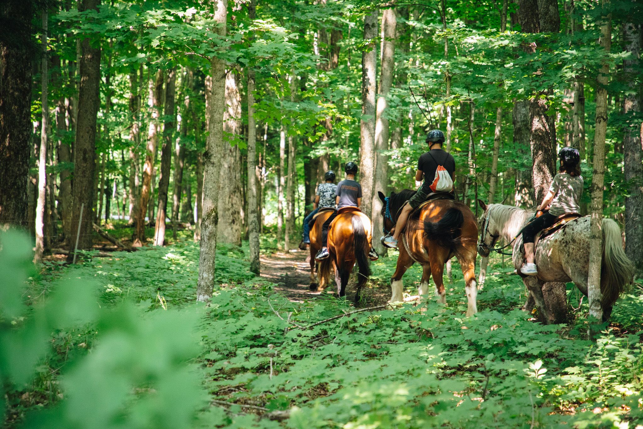 Horseback Trail Rides & Pony Ride | The Highlands