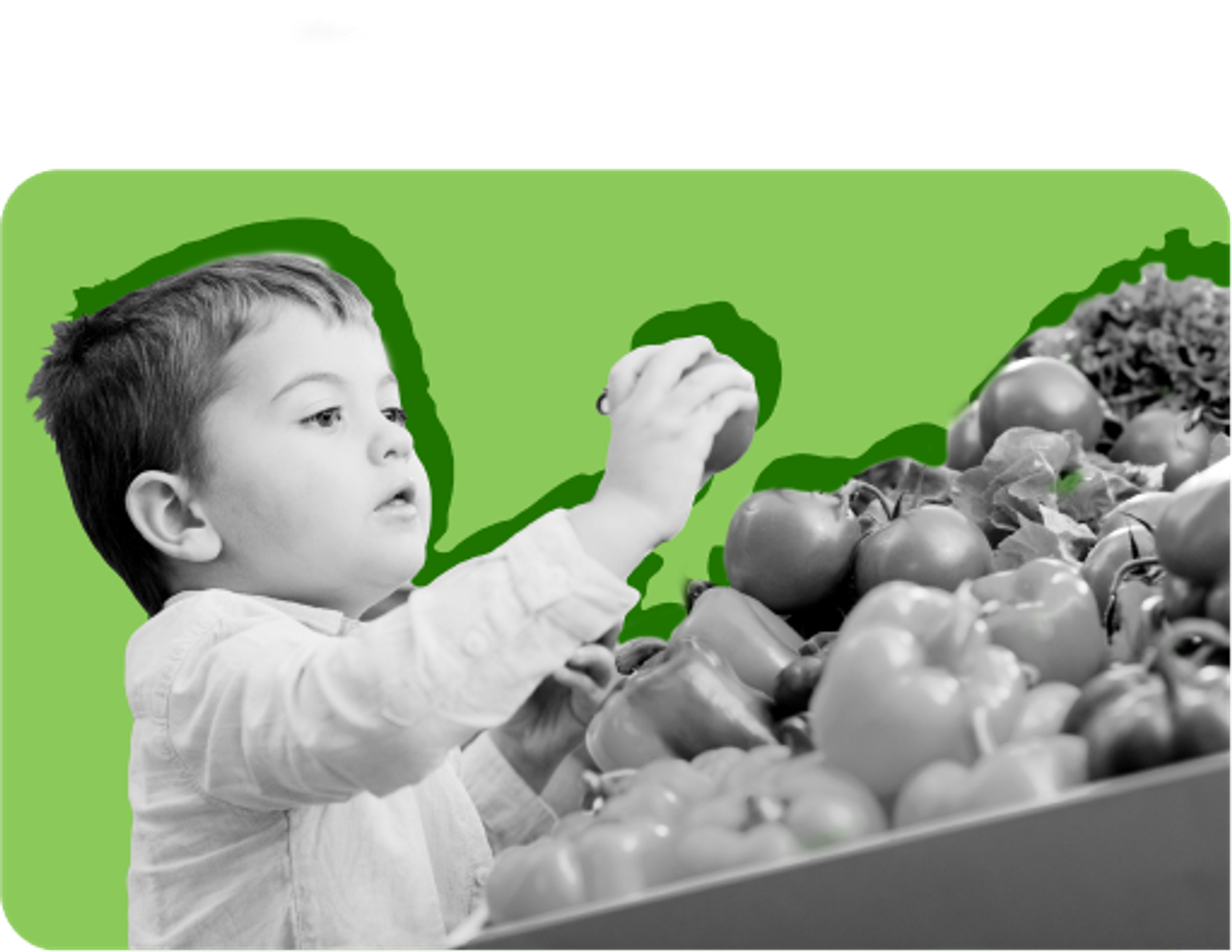 How Do You Get Food Stamps? | Propel