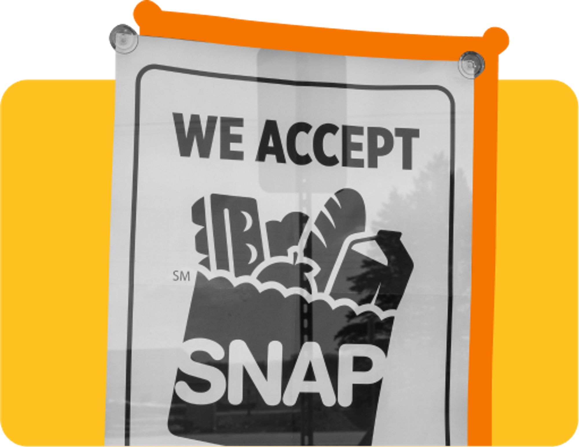 SNAP Vs. EBT: What’s The Difference? | Propel