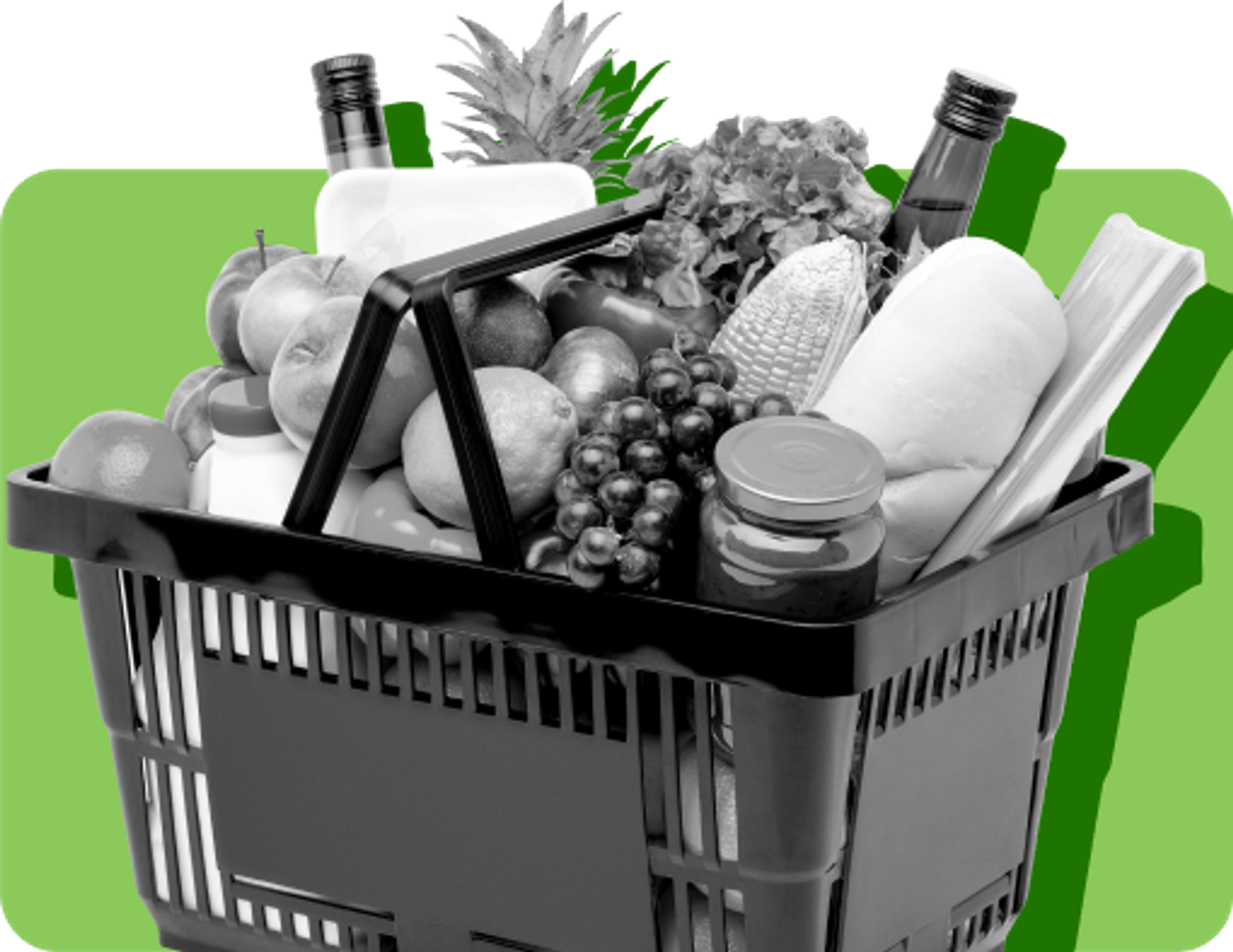 What Is EBT and How Does It Work? | Propel