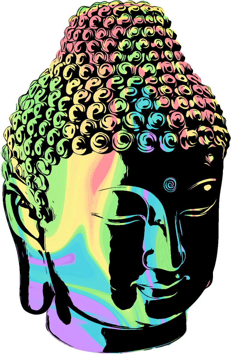 candycode, alternative brand design and React development agency