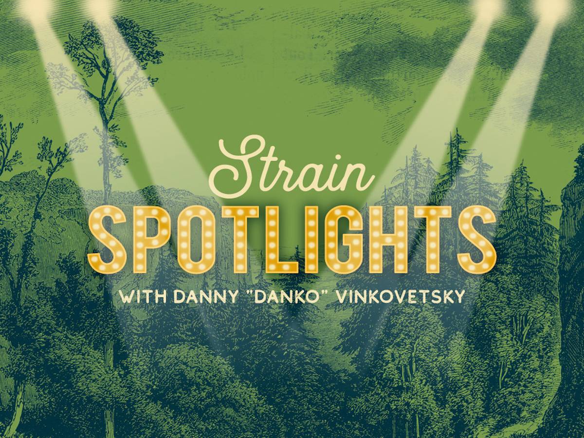 New Strain Spotlights with Danny "Danko" Vinkovetsky