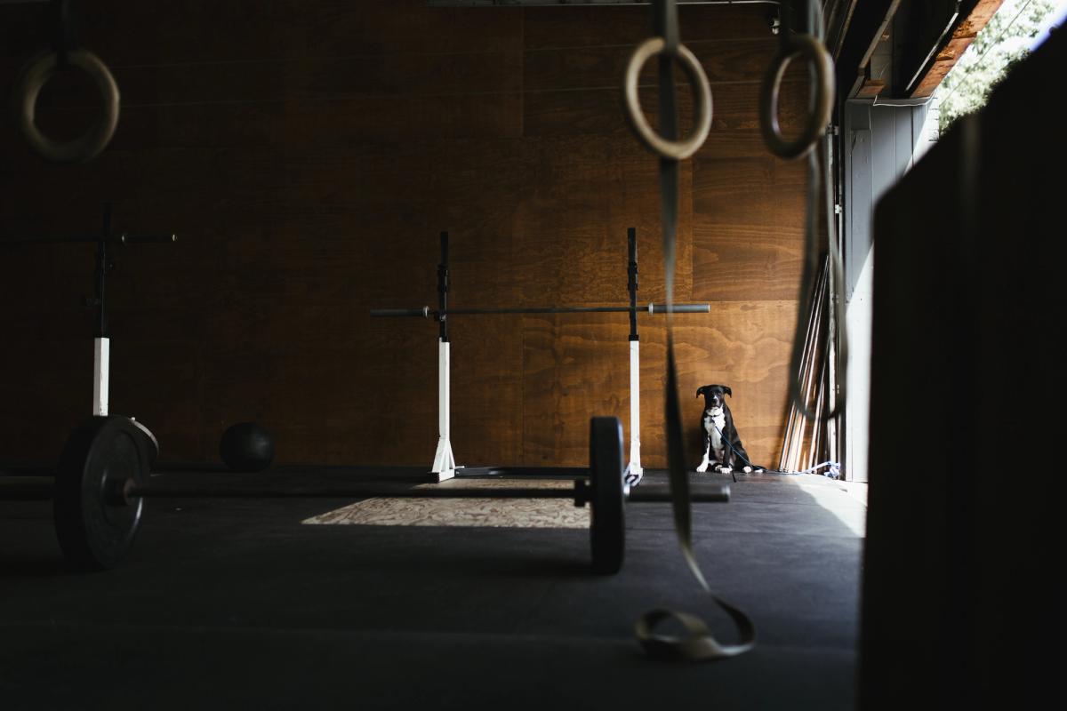 The Ultimate Powerlifting Home Gym: Build Your Sanctuary | GymBird
