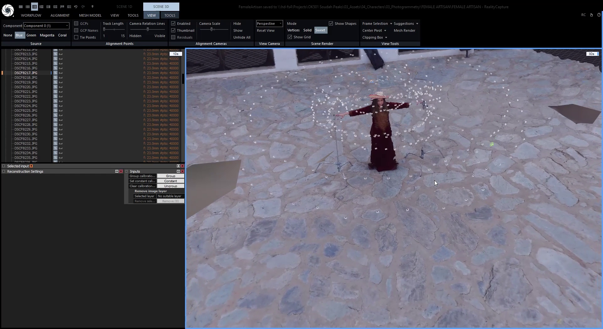 Photogrammetry – Hayes Davidson