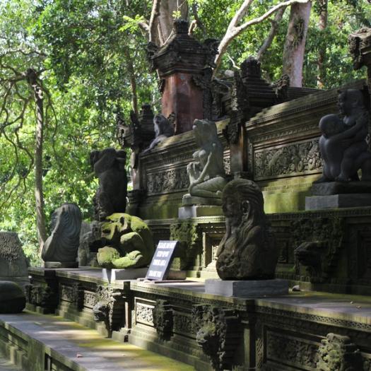Monkey Forest - iDiscover Maps