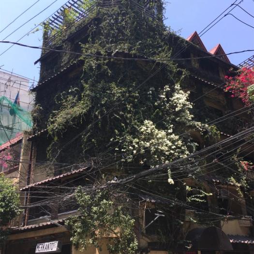 Heritage houses of Poblacion - iDiscover Maps