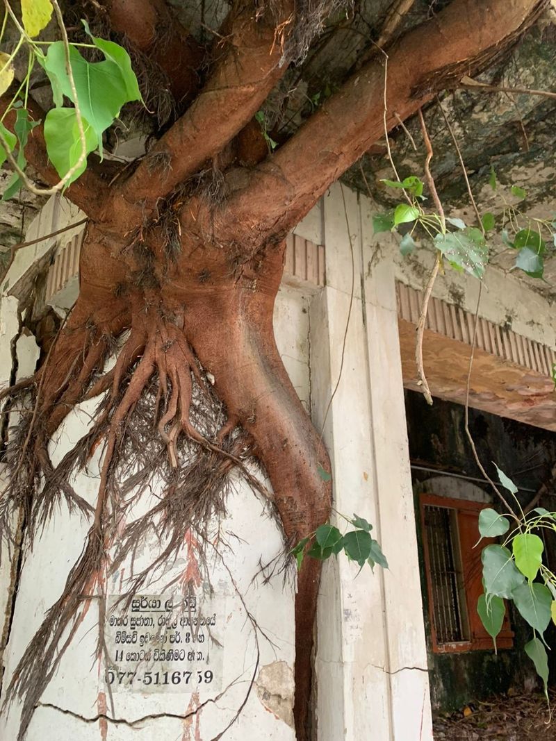 A New Map for an Old Town: Matara Fort in Sri Lanka - iDiscover Maps