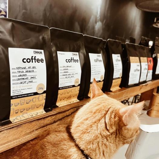 Commune - iDiscover Maps