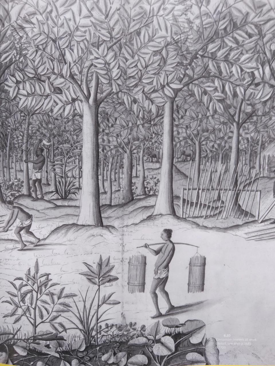 Soul of Matara; An Unsung City at Sri Lanka's Southernmost Tip ...