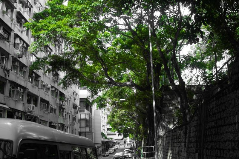 The Best Photo Locations in Kennedy Town; Through the Lens of the ...