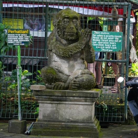 Monkey Forest - iDiscover Maps