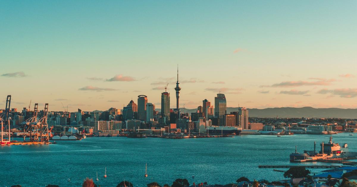 Average Salary in Auckland | Real 2025 Pay Data | ZEIL
