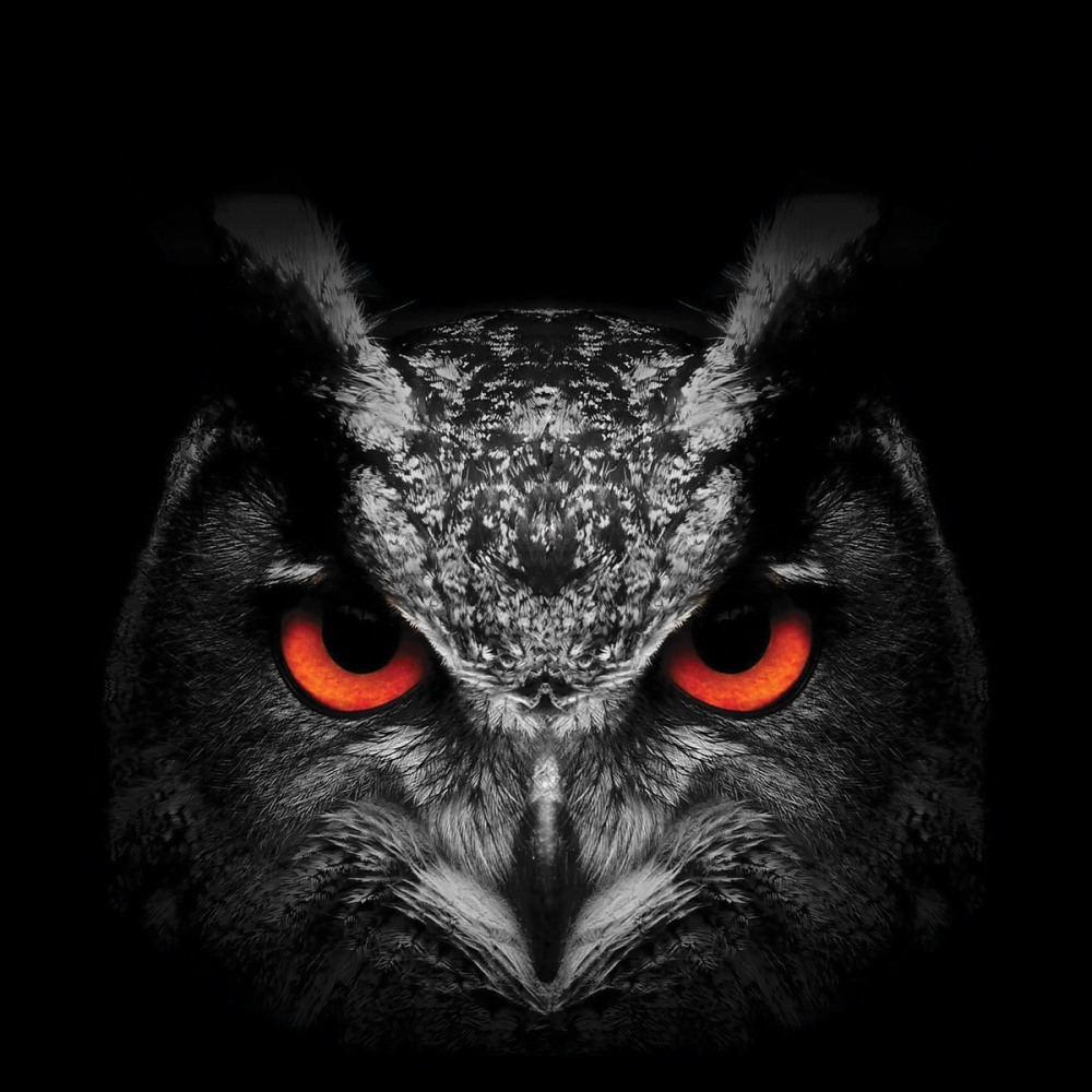 Best Software for Glass Business | Glazier Software Solutions