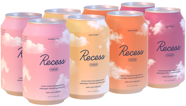 6ct stick pack sampler | Recess