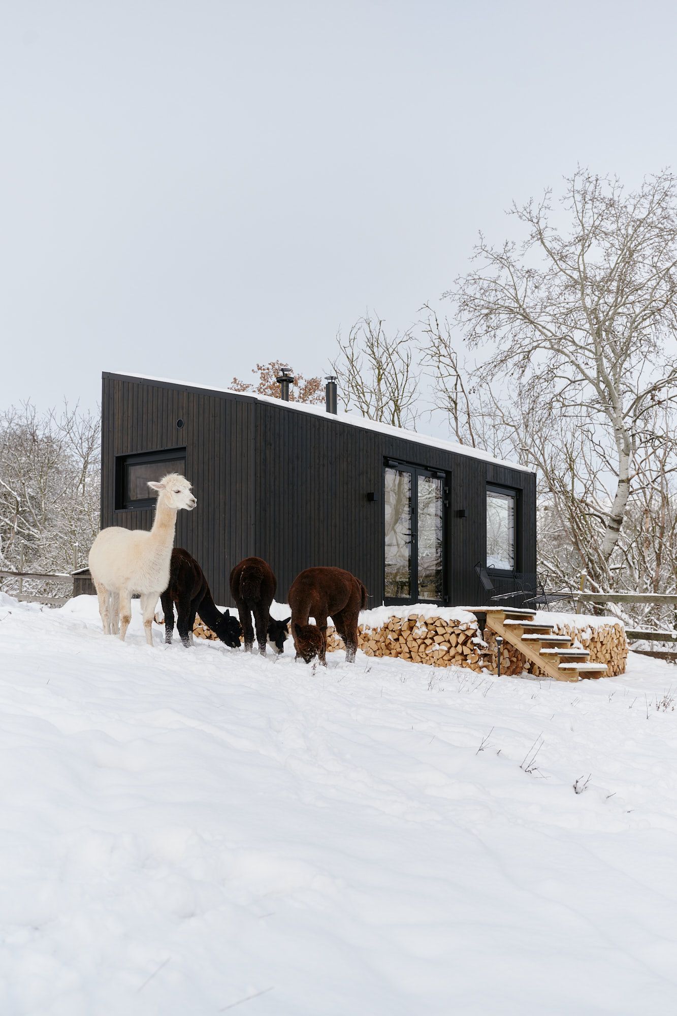 Take a walk in good company.