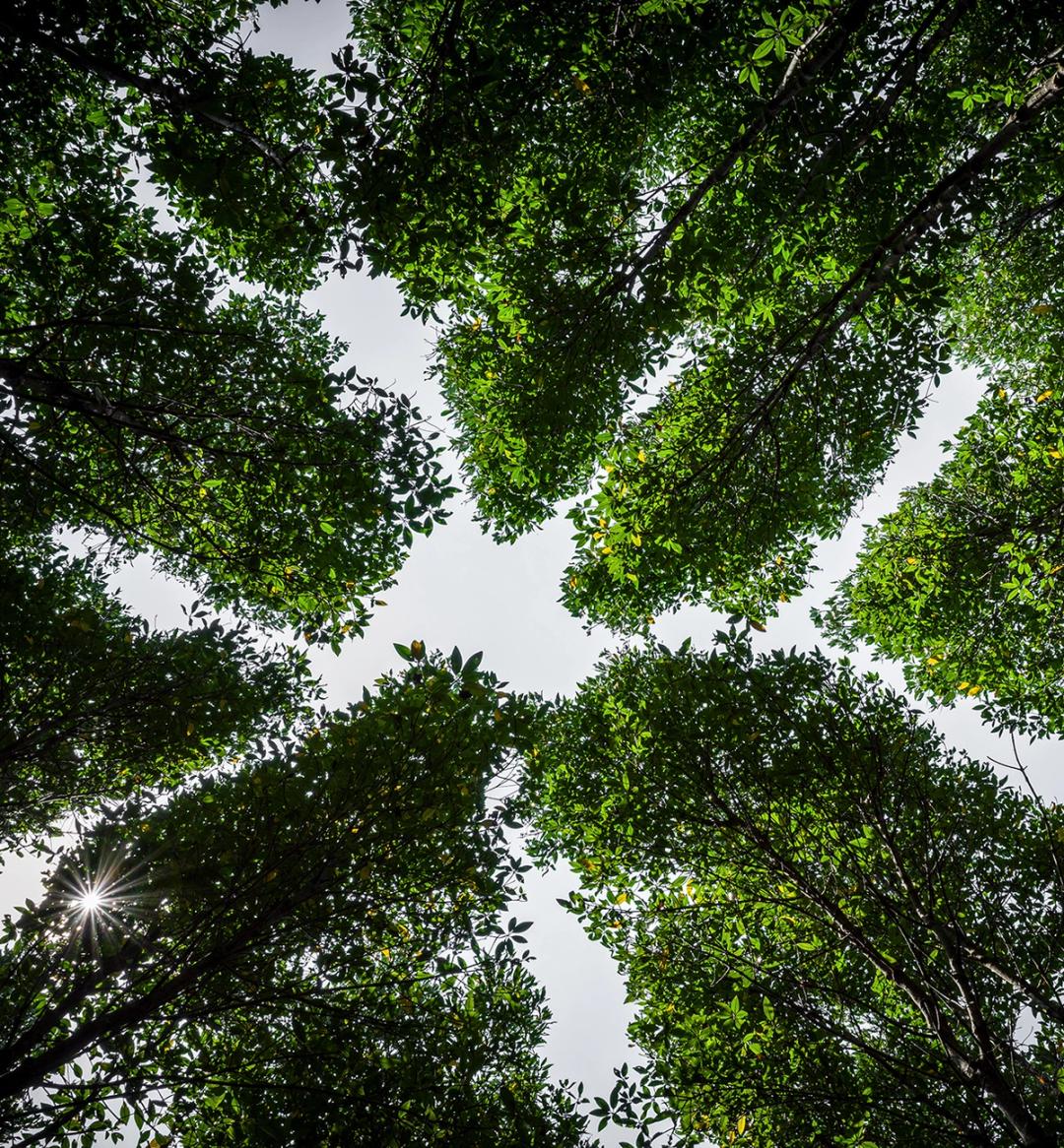 Osaic announces acquisition of Lincoln Wealth | Osaic