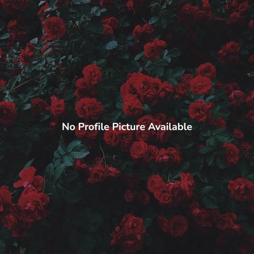 Jessica Horner - The Bachelor Season 9 Contestant