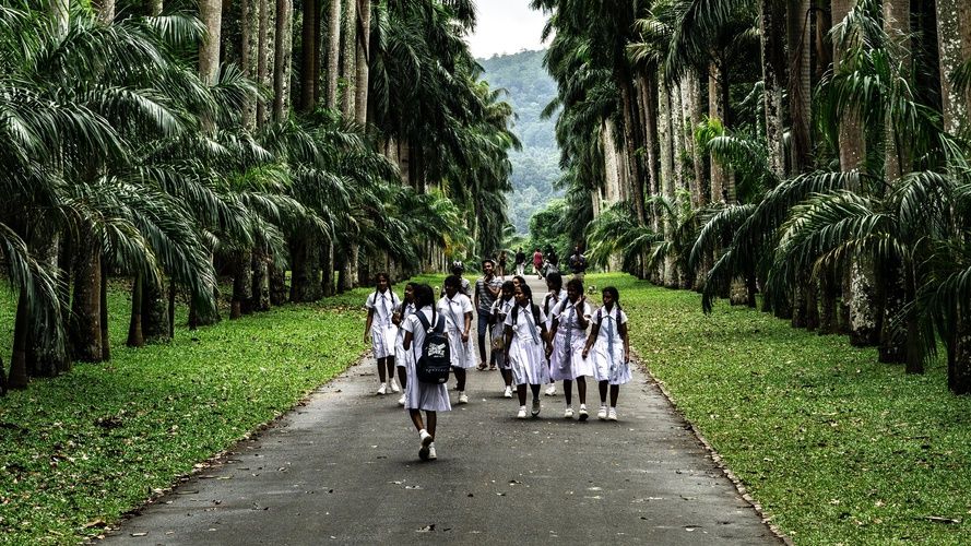 APF Annual Report 2018-19 - Asia Pacific Forum