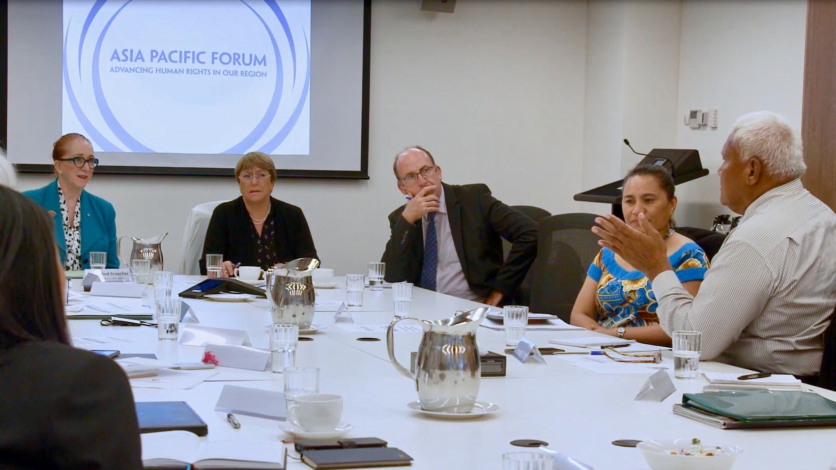 Providing advice and expertise - Asia Pacific Forum