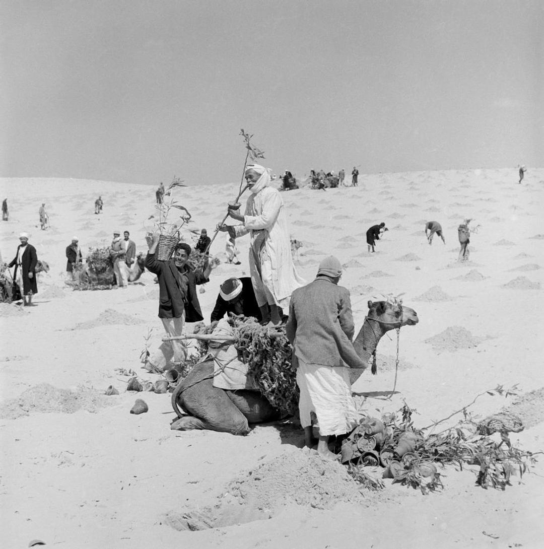 Mer enn det humanitære blikket - Jørgen Grindes fotografier fra ...