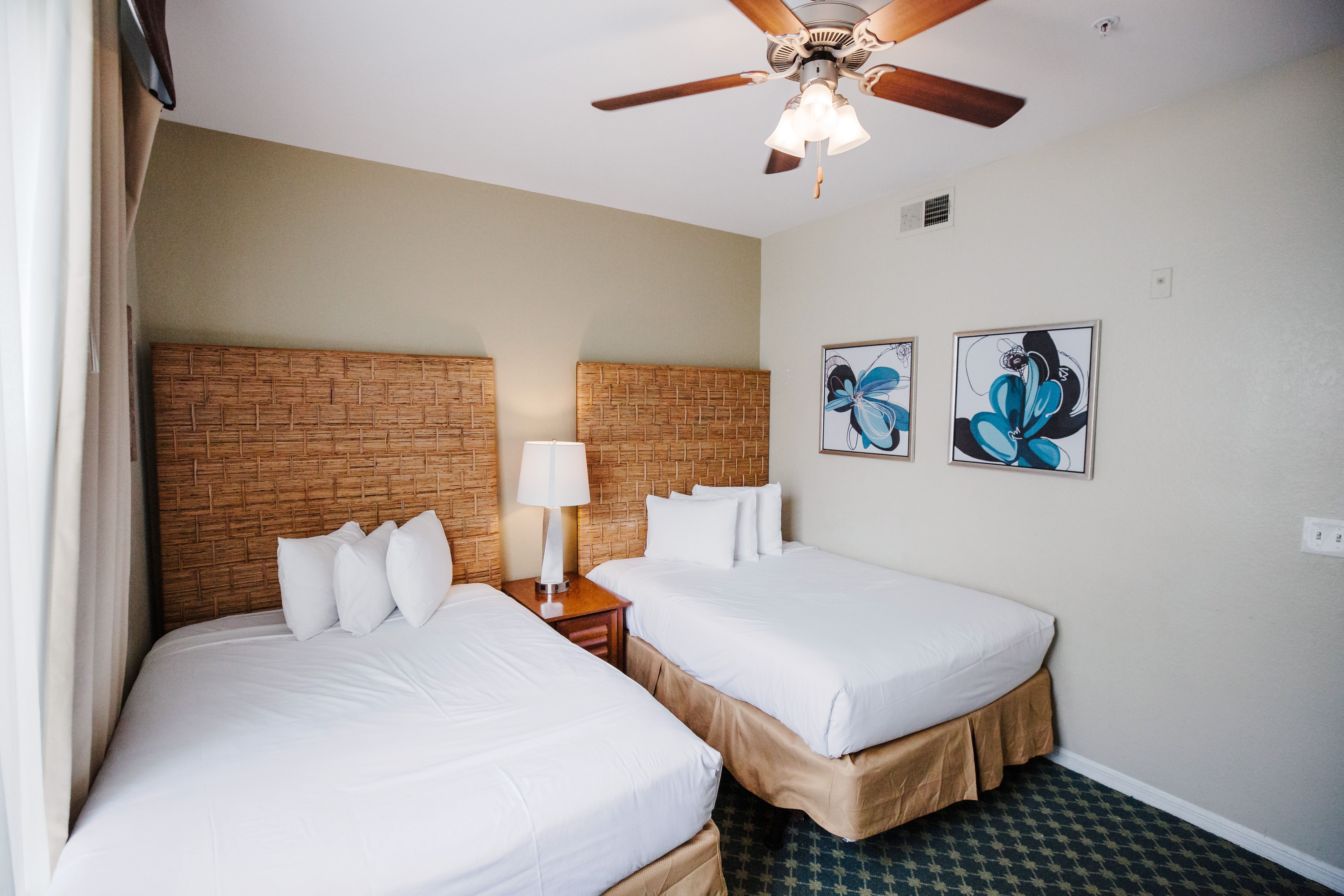 Welcome to Calypso Cay | Calypso Cay Resort