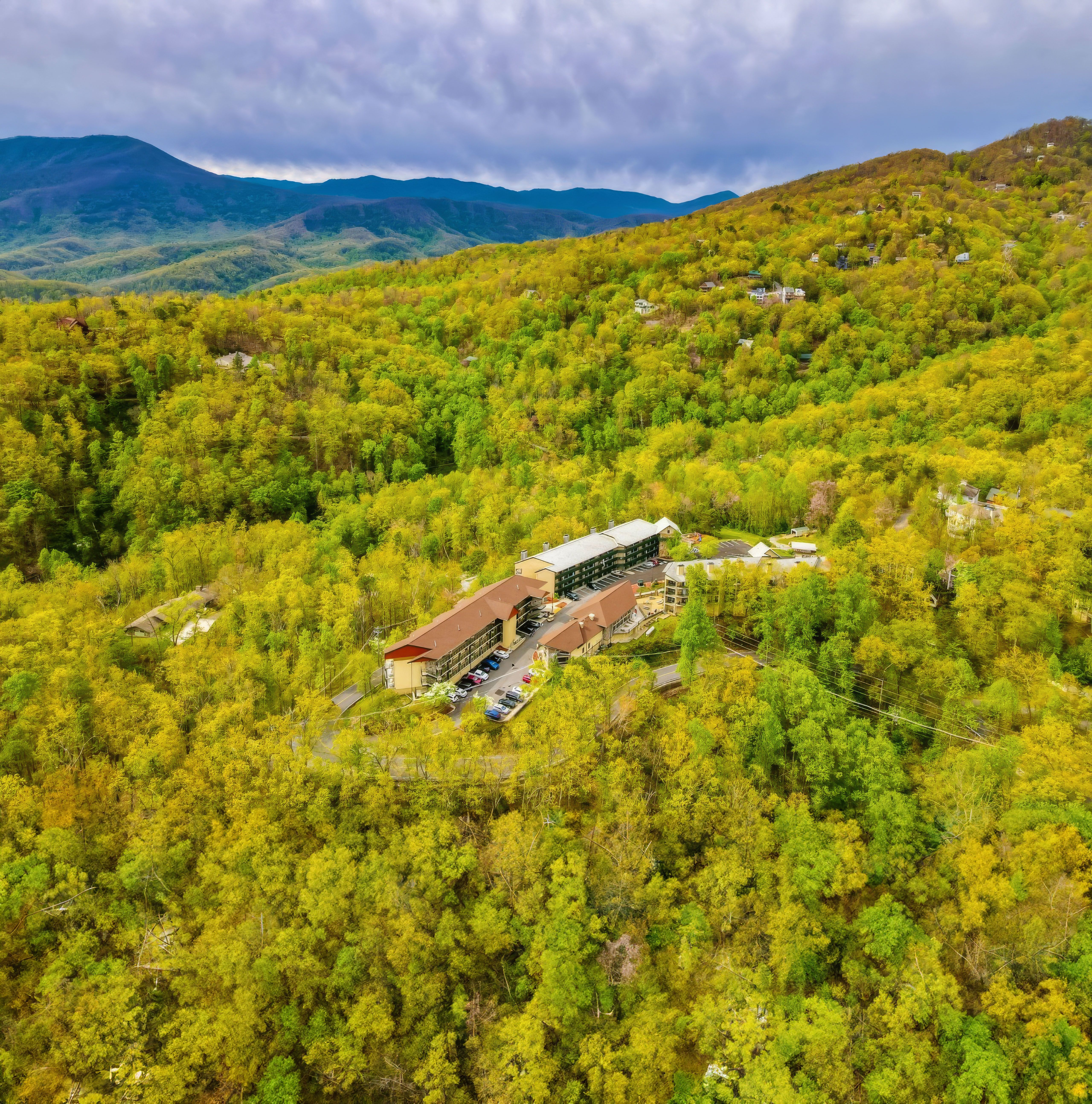 Welcome to Laurel Point | Laurel Point Resort