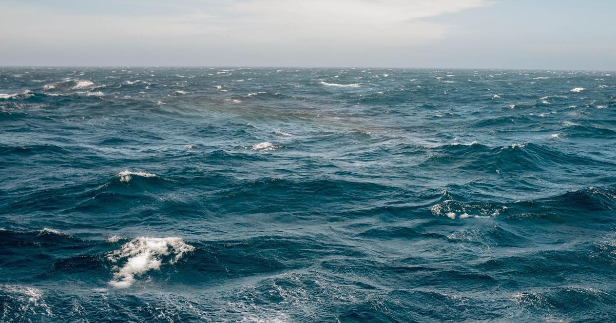 Inside "The roaring forties" - One Ocean Expedition
