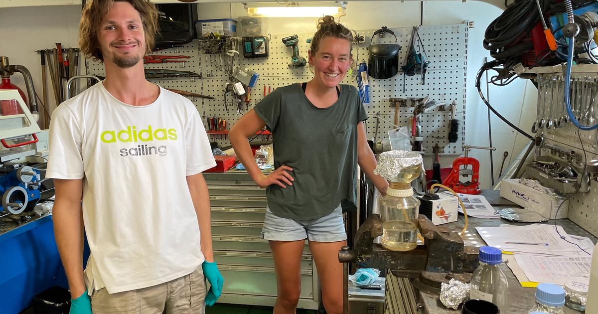 Nellie and Fabian has moved into the lab - One Ocean Expedition