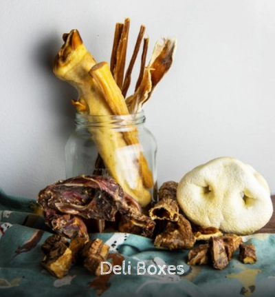 Shesells Seashells | Folkestone Harbour Arm