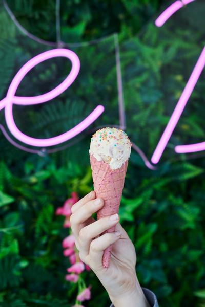 Shesells Seashells | Folkestone Harbour Arm