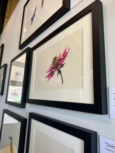 Shesells Seashells | Folkestone Harbour Arm