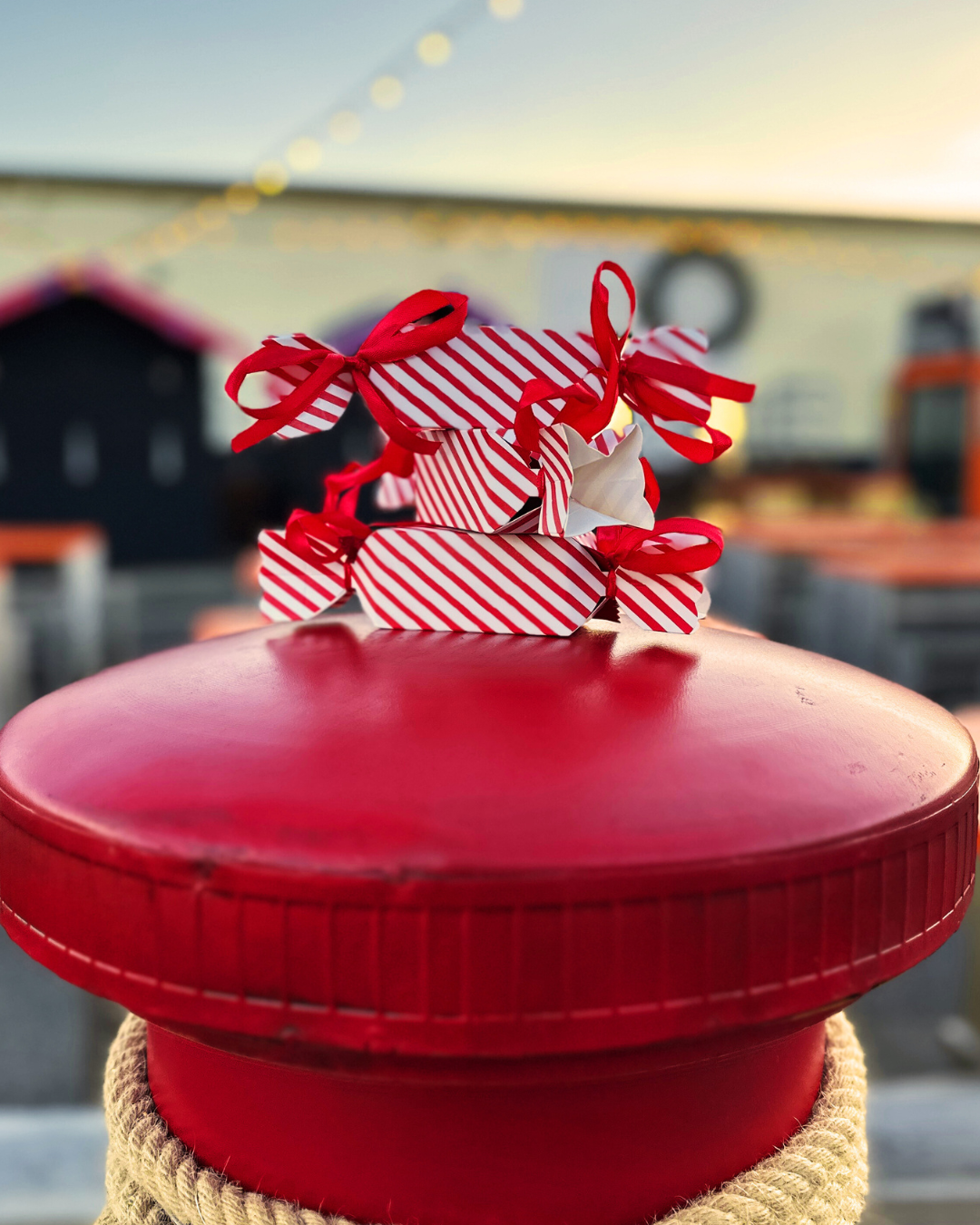 The Great Christmas Cracker Hunt | Folkestone Harbour Arm