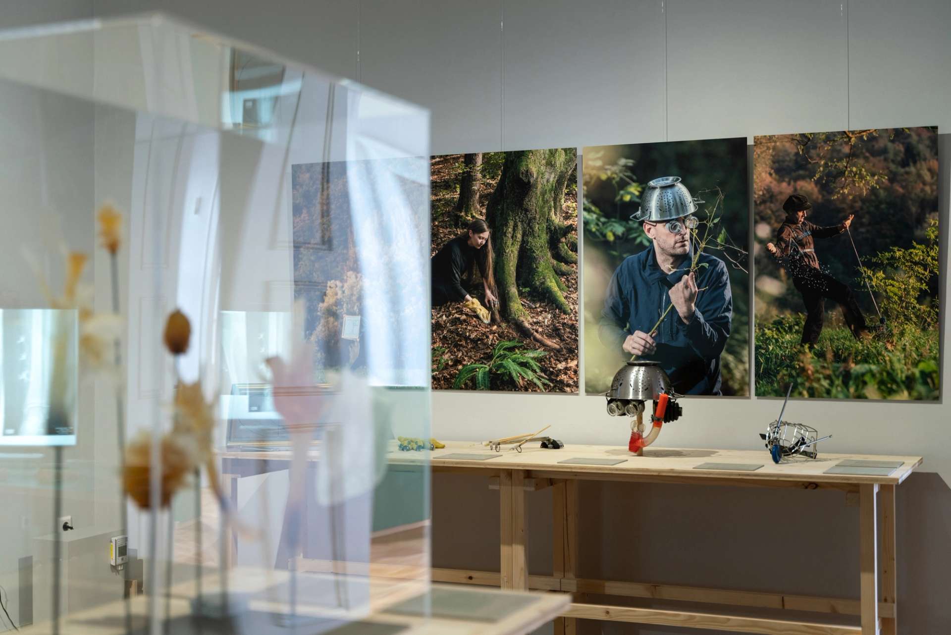 Plant Fever. Towards a Phyto-centred design – KoozArch