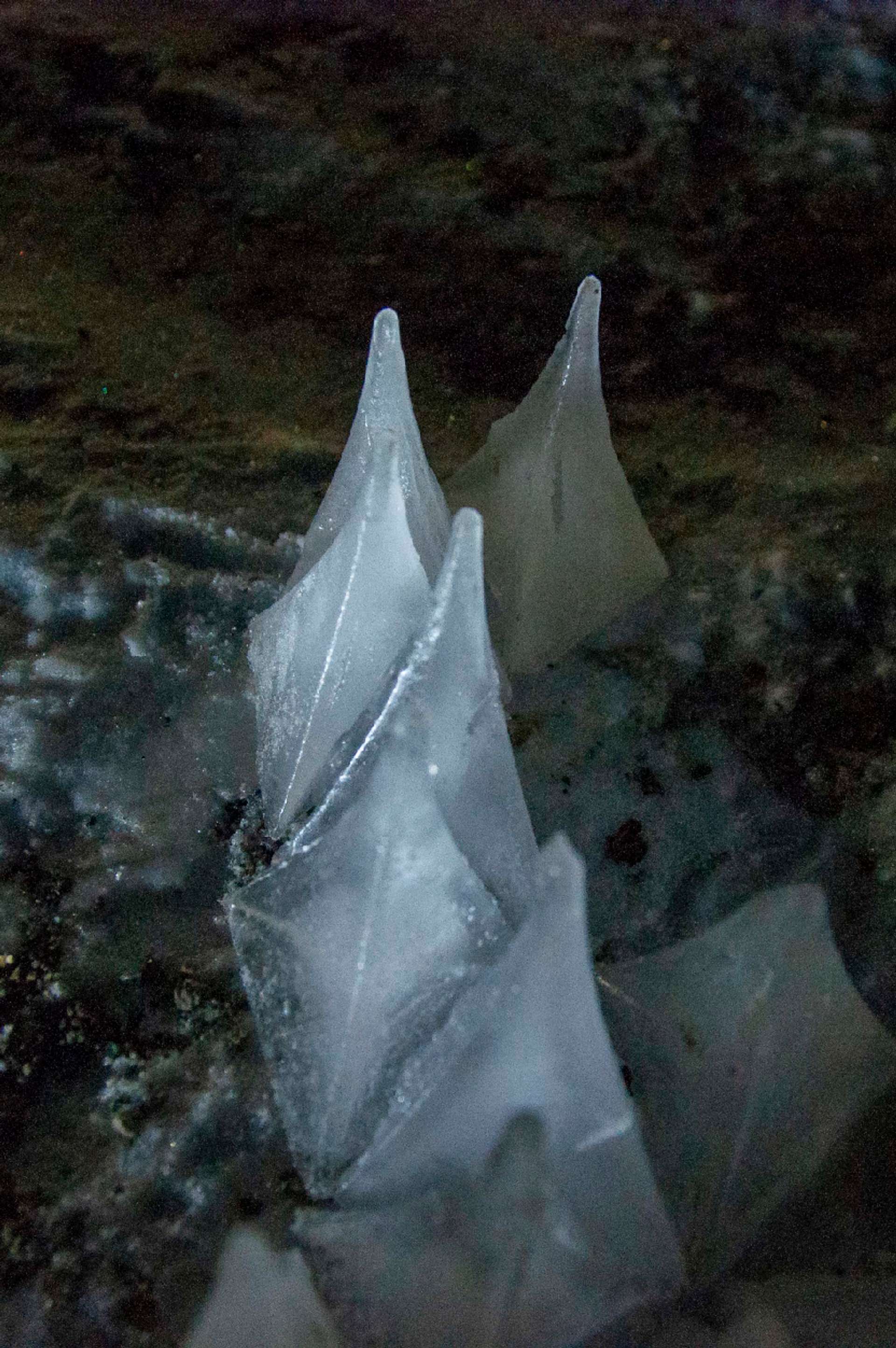 Melting Models – KoozArch