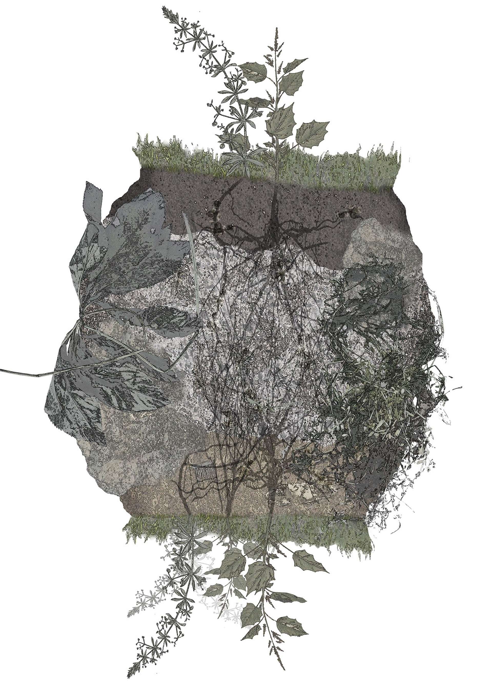 Weeded Ground – KoozArch