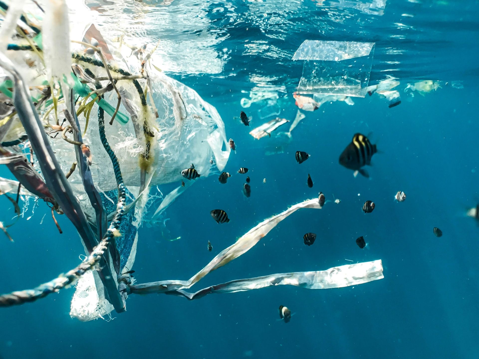 Soft Plastic Recycling: Challenges, Solutions, and How To Do It