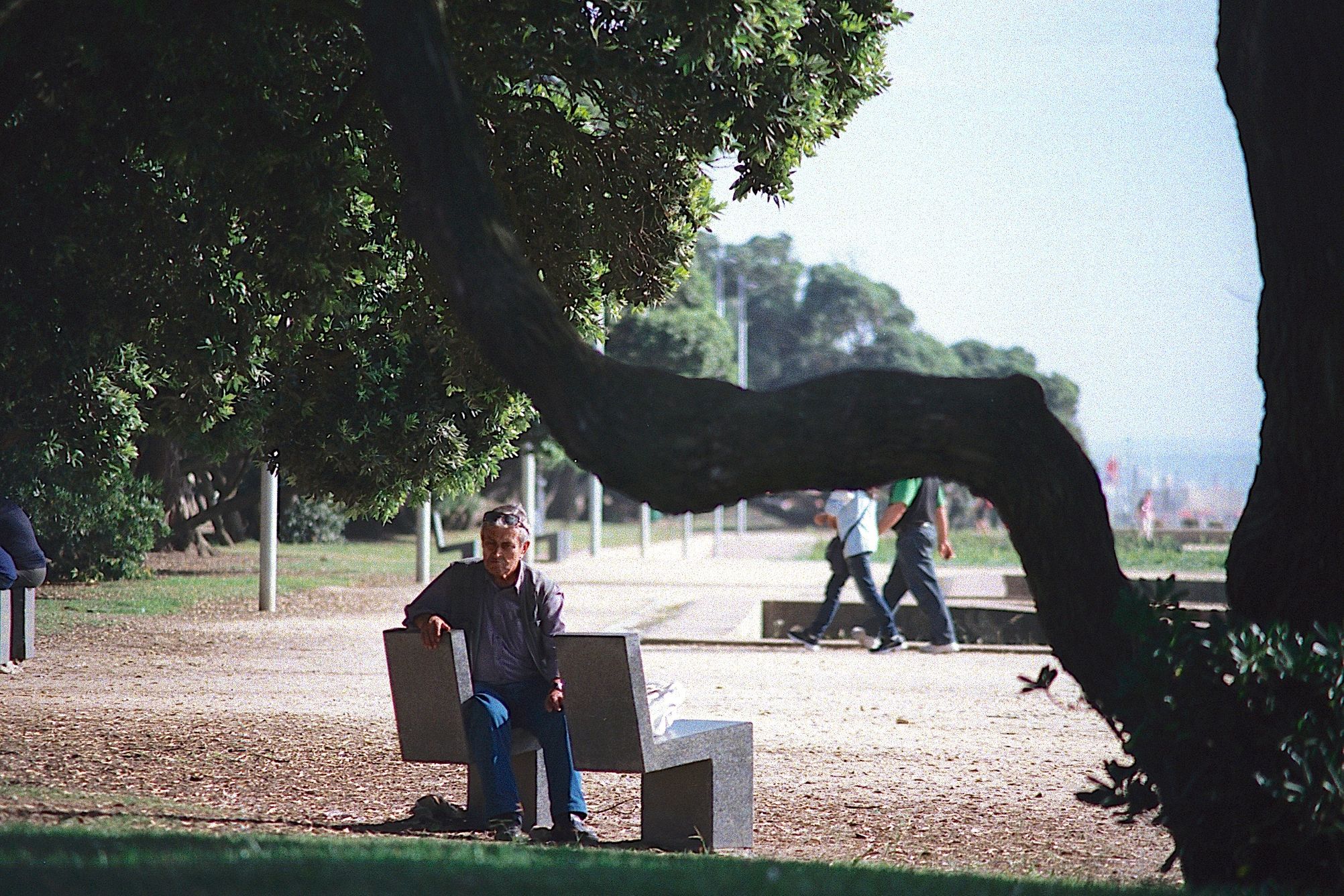 Fujifilm Superia Reala 100 Film Review - 50mmF2