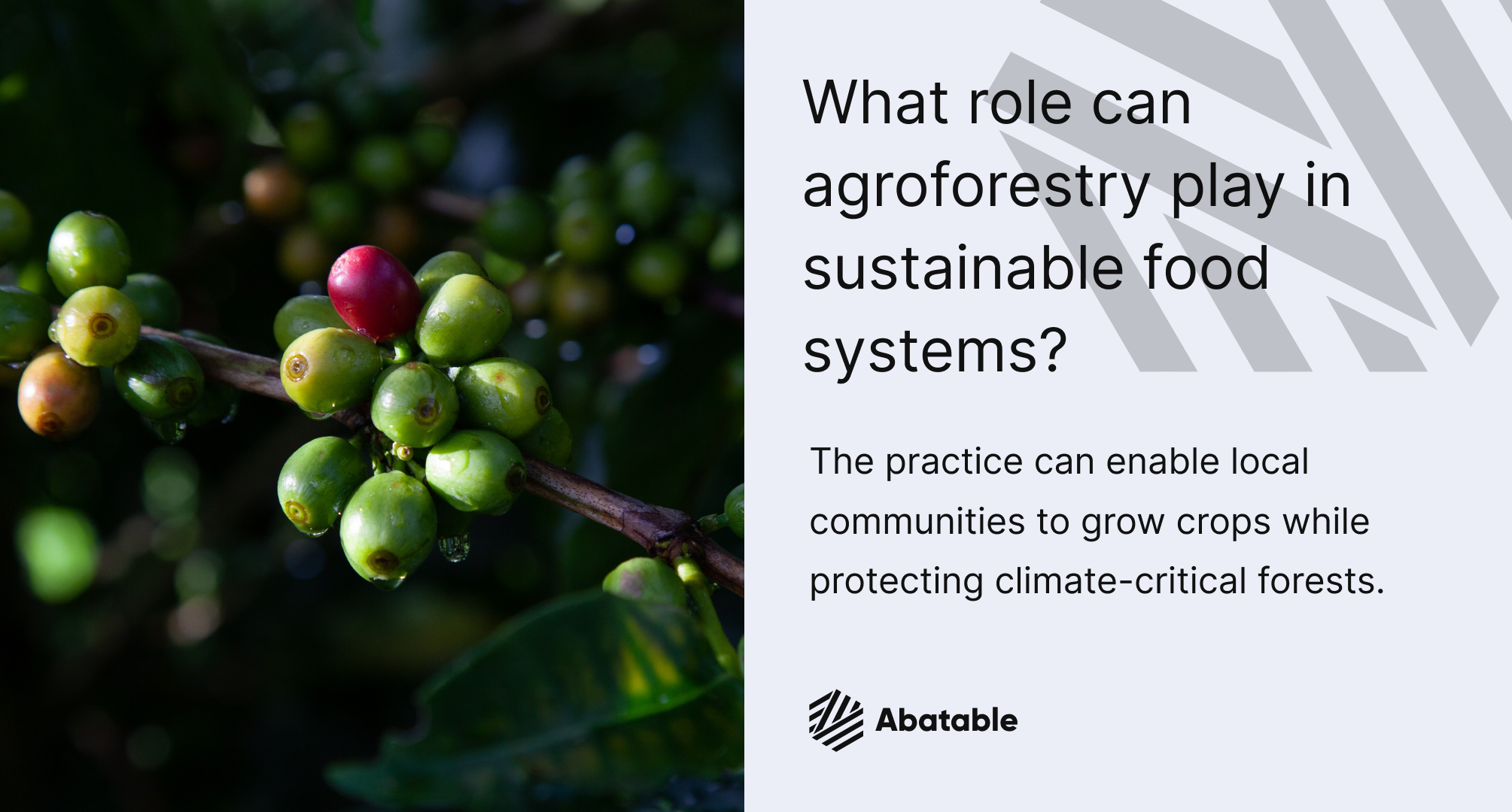 Agroforestry's role in sustainable food systems · Abatable