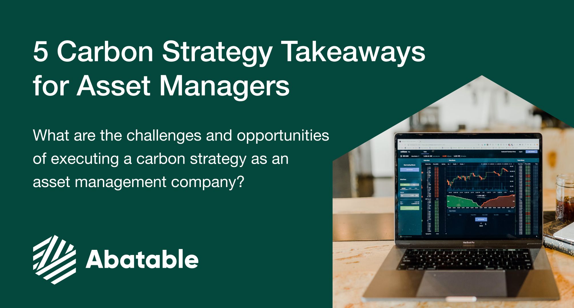 5 Carbon Strategy Takeaways for Asset Managers · Abatable