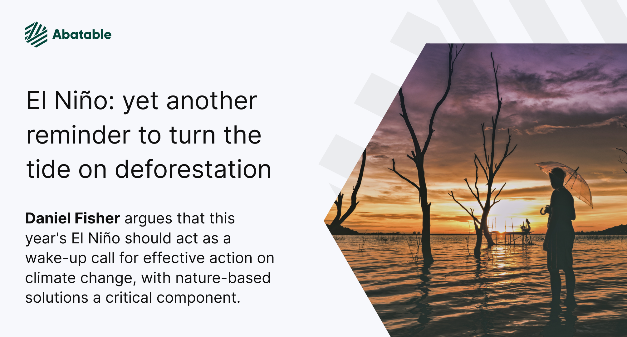 El Niño: another reason to turn the tide on deforestation · Abatable