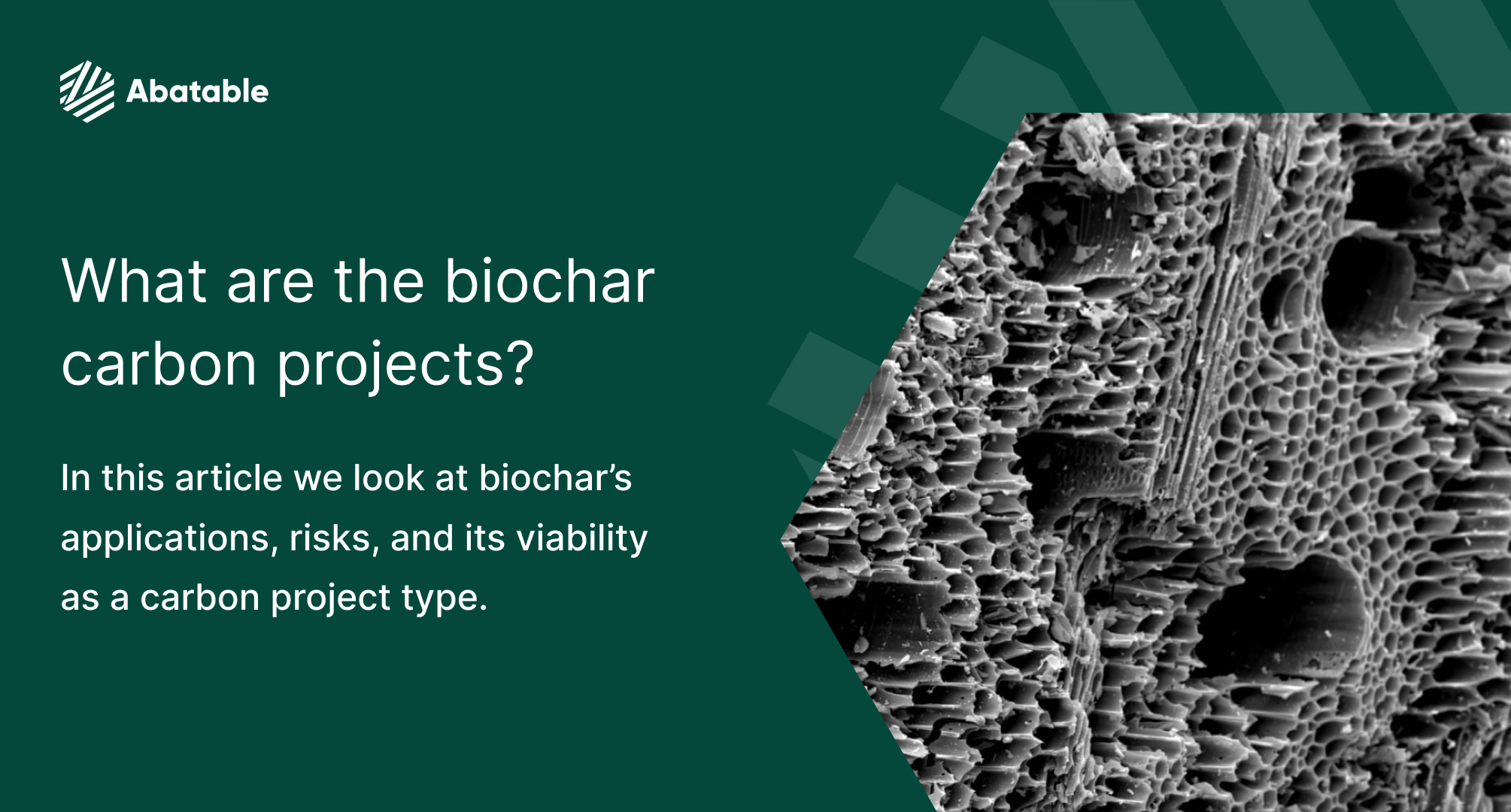 Biochar · Carbon Project Types · Abatable