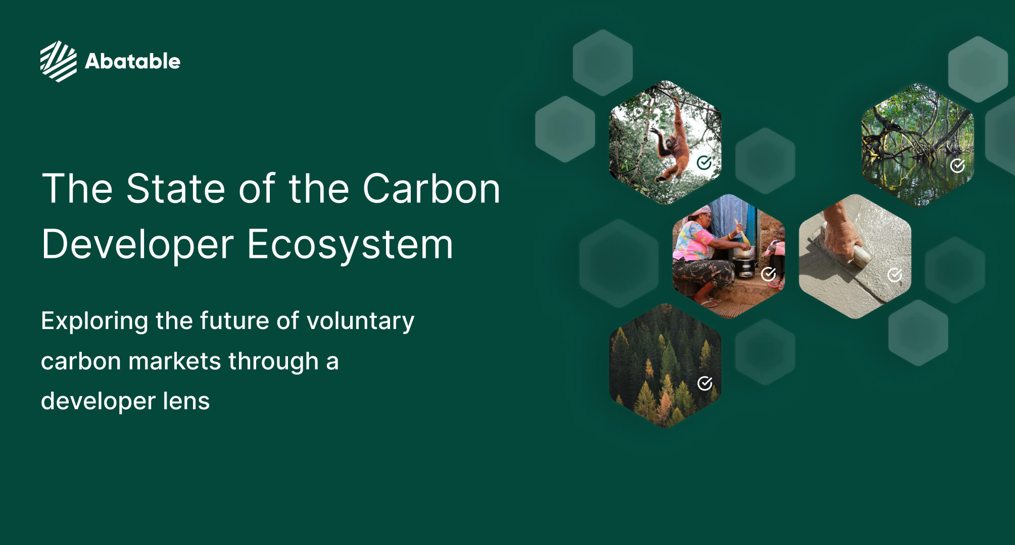 Voluntary Carbon Markets Developer Overview 2022 · Abatable