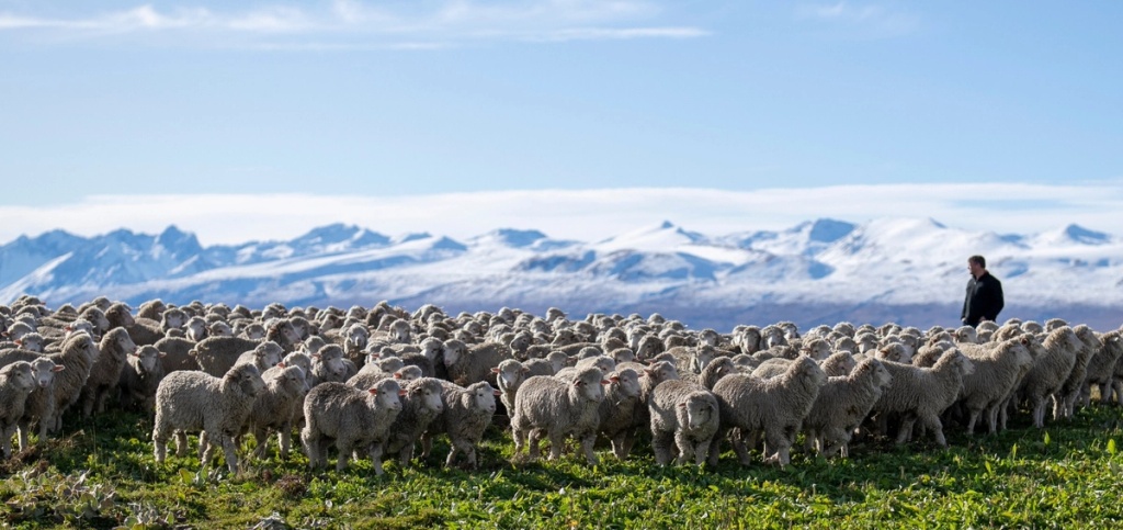 Aclima - Wool Specialist Since 1939