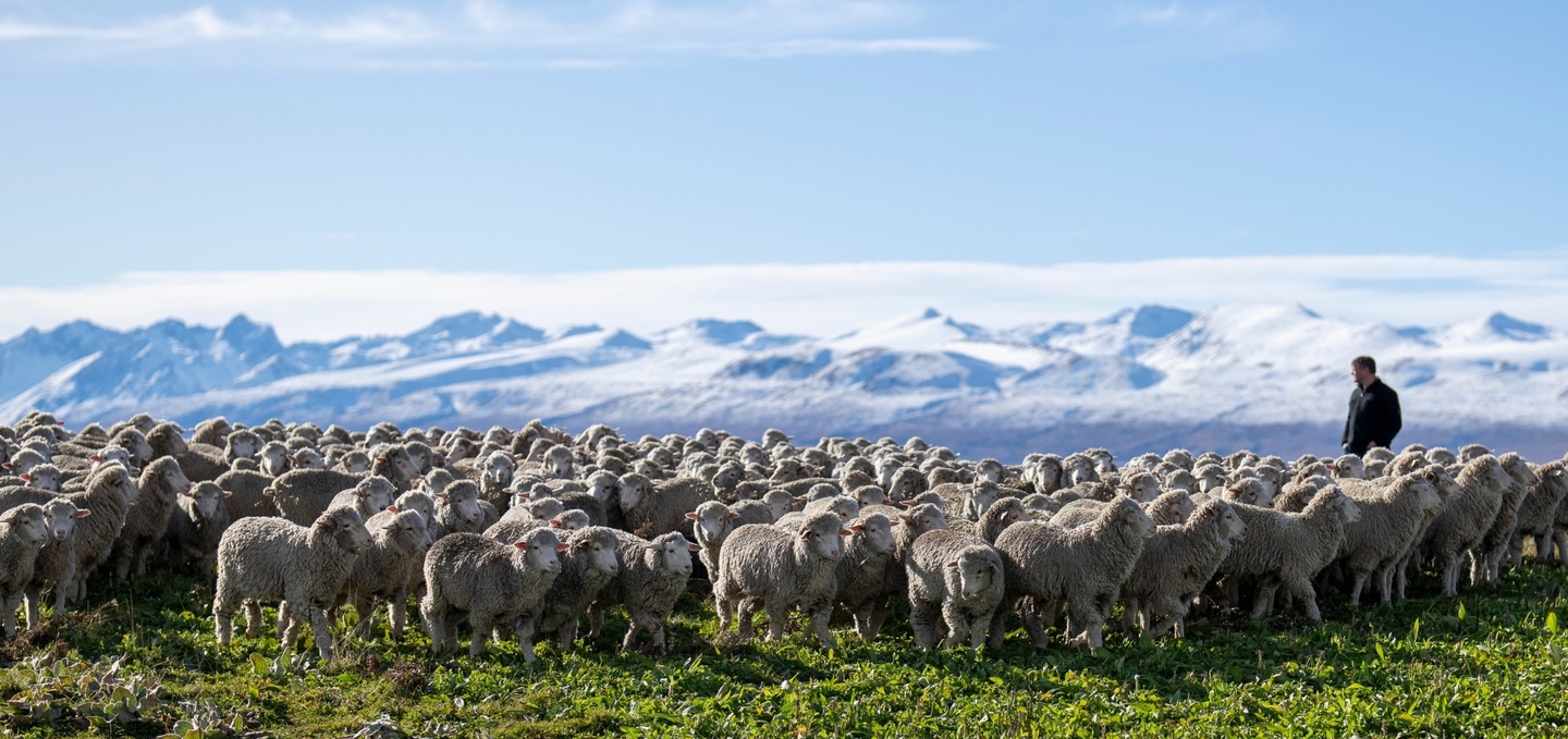 Aclima - Wool Specialist Since 1939