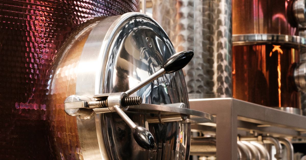 MEASURED Guide | Brogan Carr on going her own way