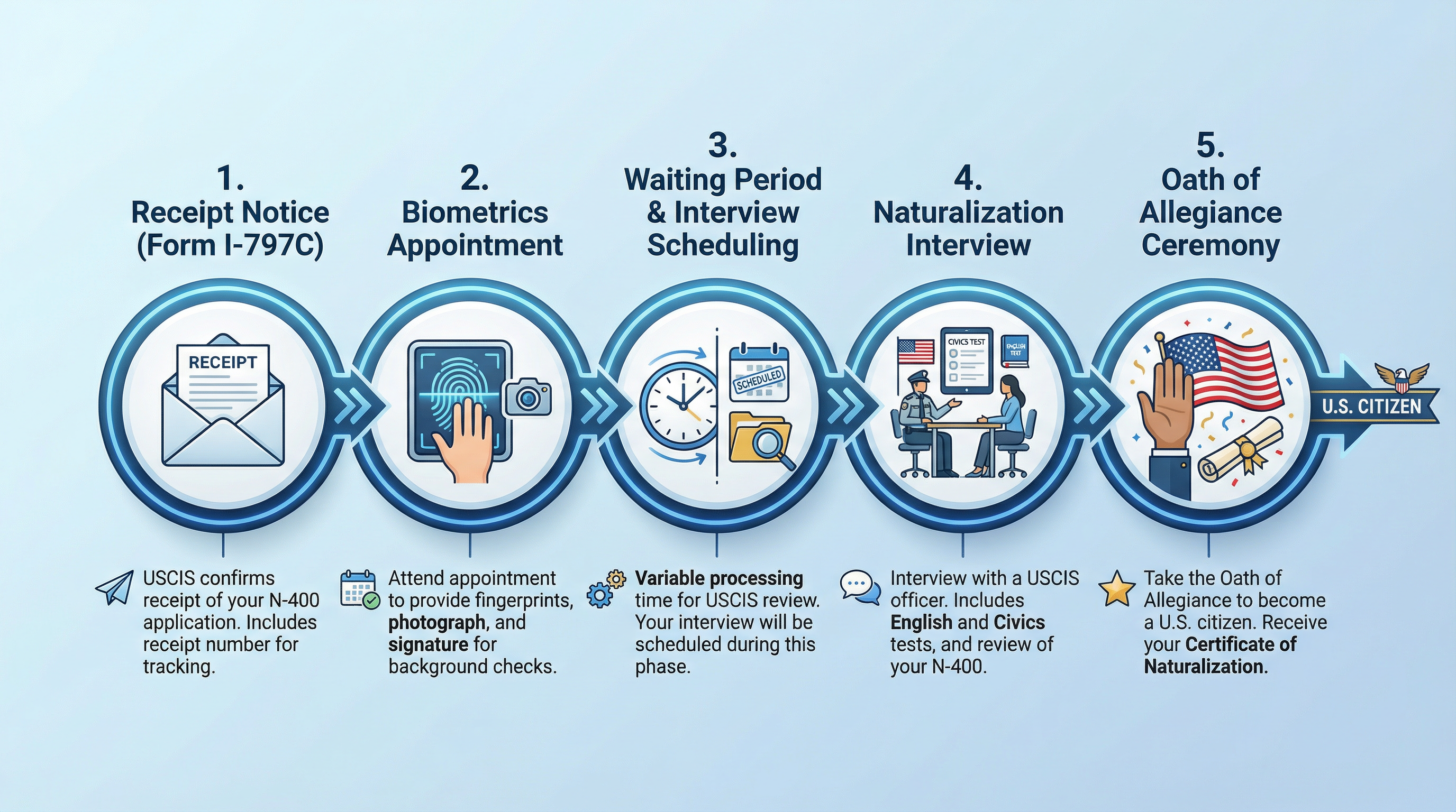 After Filing N-400: What Happens at Each Step (2026)
